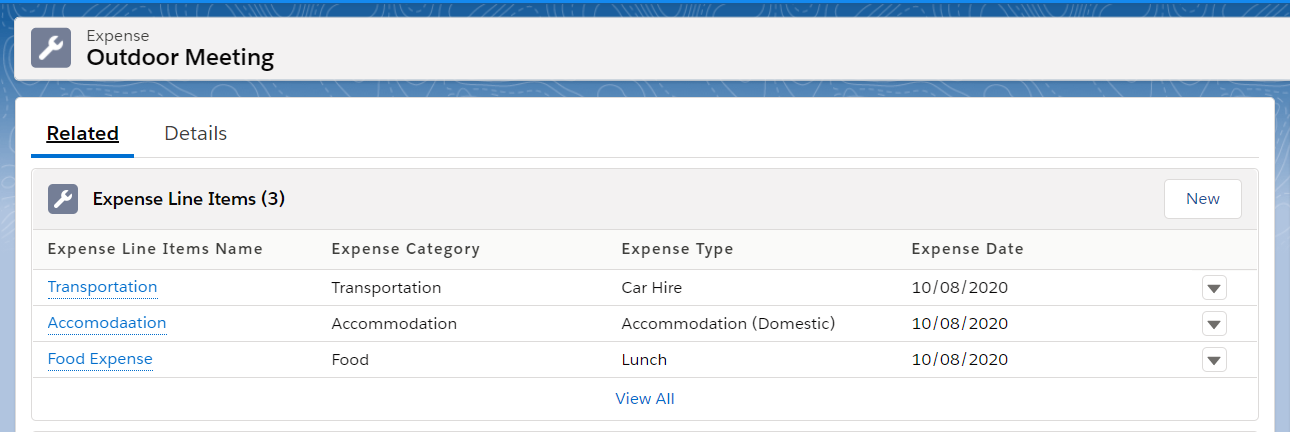 Expense – Support Axolt